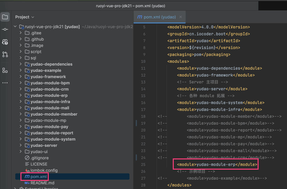 功能开启 | ruoyi-vue-pro 开发指南